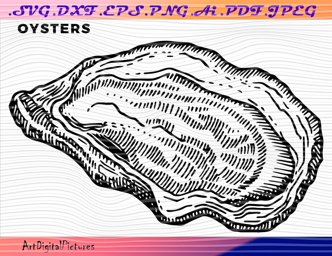 Oysters Svg Oysters Clipart Svg Beach Svg Shellfish - Etsy
