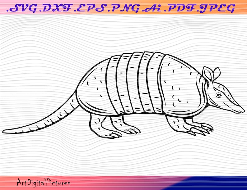 Armadillo SVG Armadillo Clipart Armadillo Files for Cricut - Etsy