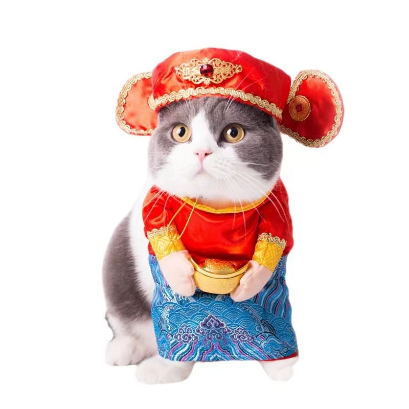 Chinese Lucky Cat Costume