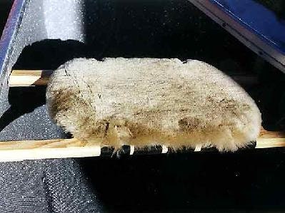 Sheepskin Walker Handgrip Pads - Etsy