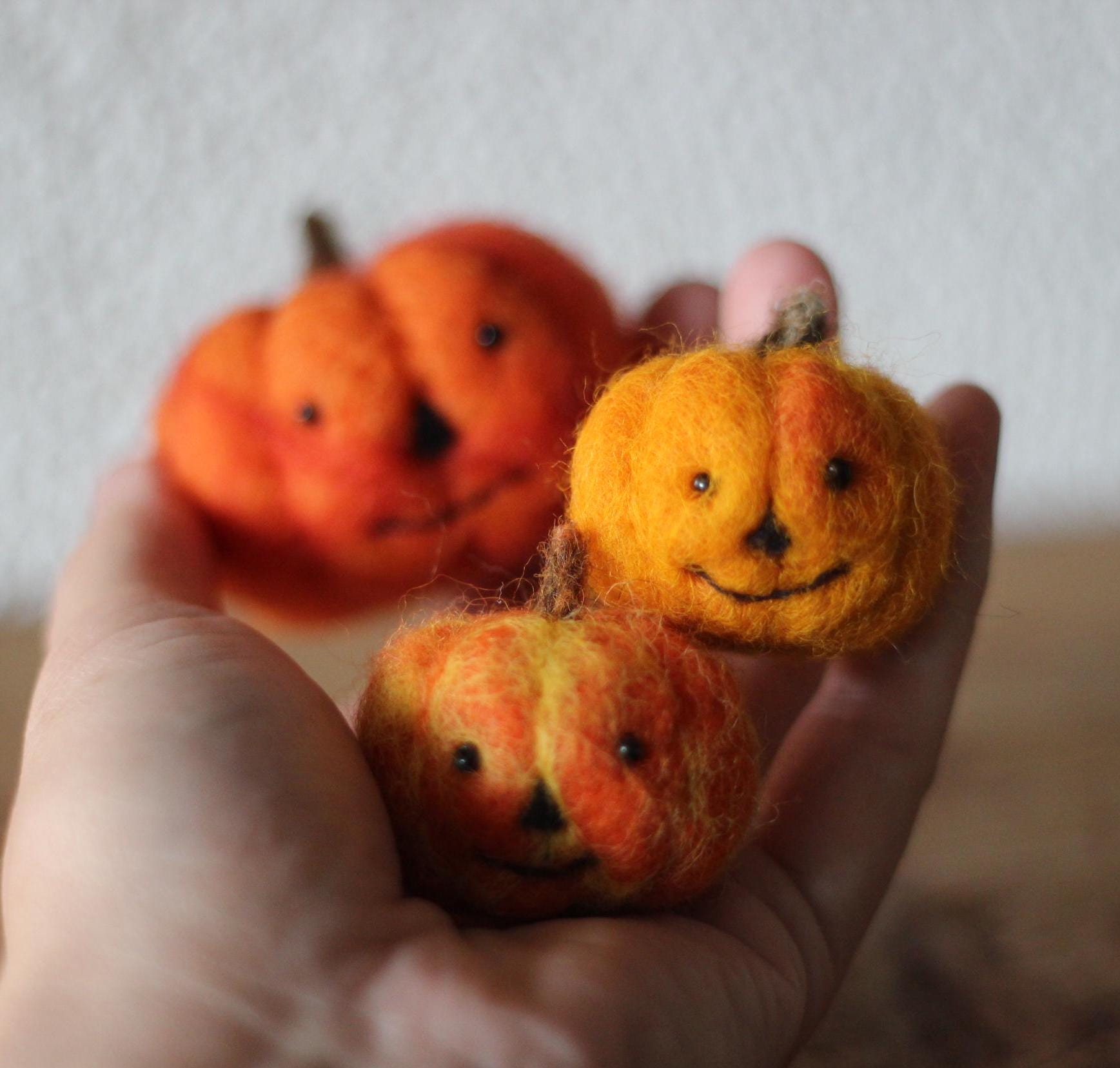 Needle Felted Wool Pumpkin Set, Halloween Decor - Etsy