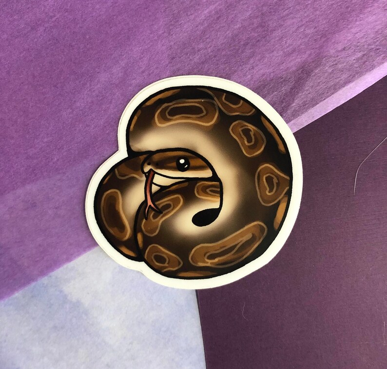 Ball Python Vinyl Sticker - Etsy UK