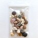 Seashell Crafting Kit Mini Shells for Creative DIY Projects Beach Art ...