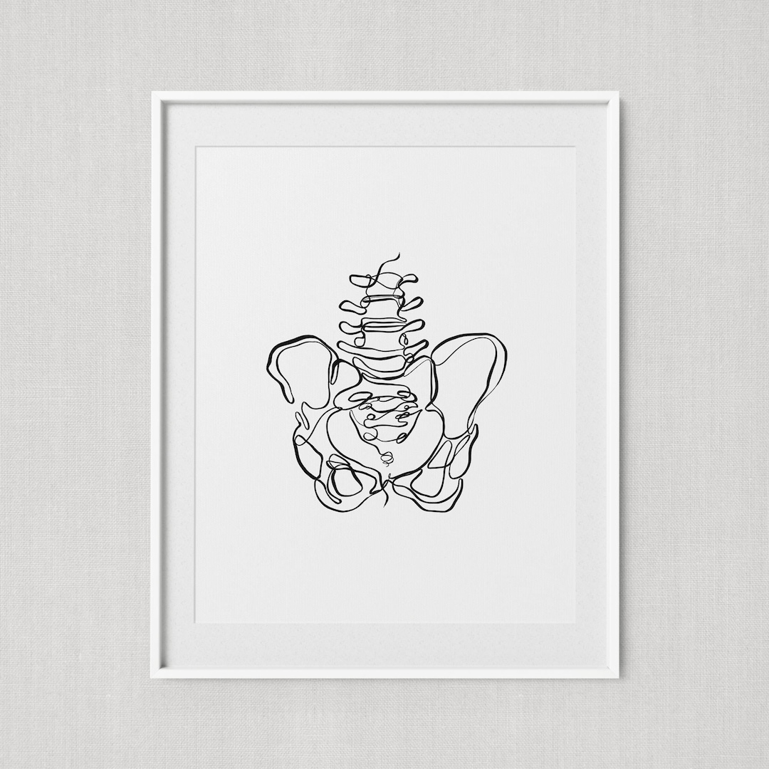 Abstract Pelvis Line Painting, One Line Bone Illustration, Chiropractic ...