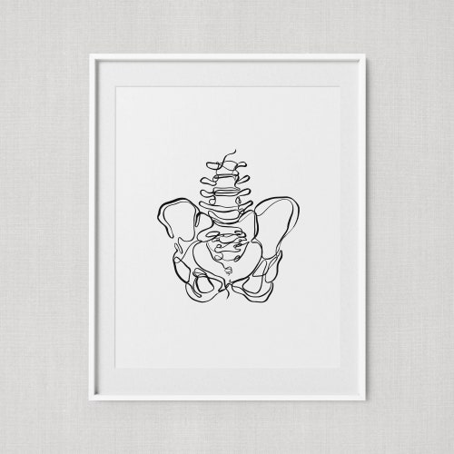 Pelvis Printable Updated Pelvic Bone Line Art Anatomy - Etsy Canada