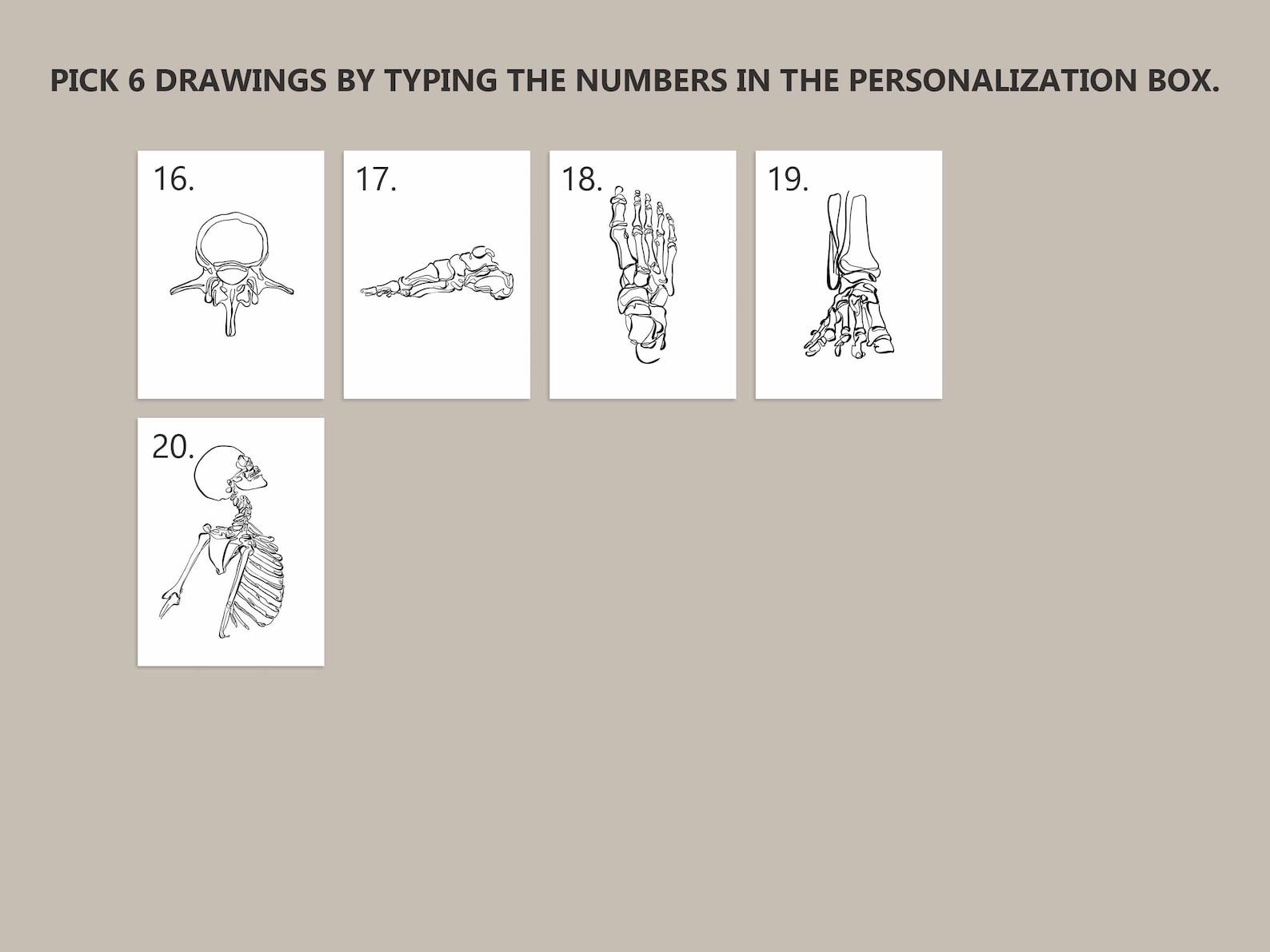 6 Human Bone Drawing Art Prints, Skeleton Wall Art Set, Minimal Medical ...