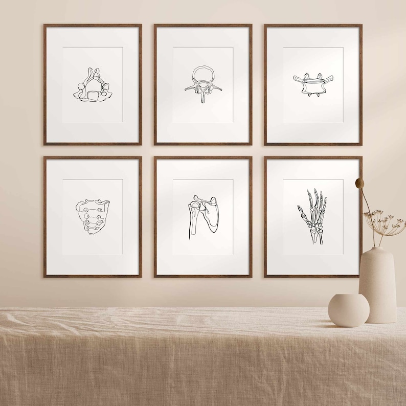 6 Human Bone Drawing Art Prints, Skeleton Wall Art Set, Minimal Medical ...