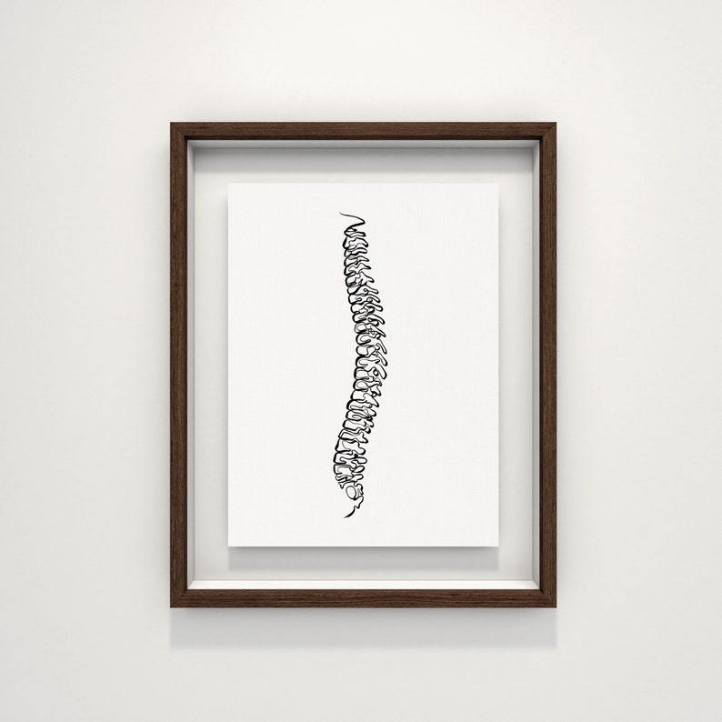 Abstract Spine Line Painting One Line Spinal Art Print | Etsy