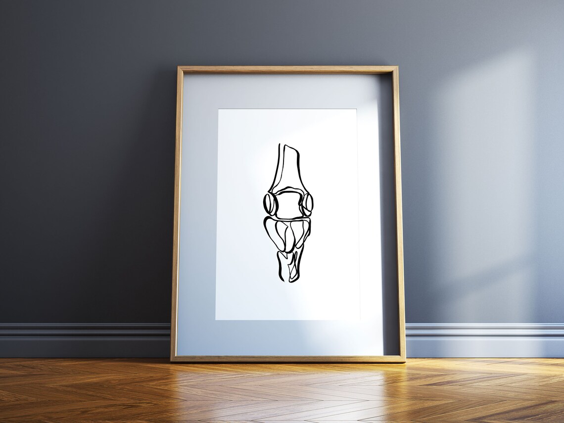 Abstract Knee Joint Painting Anatomy Wall Art Chiropractor | Etsy