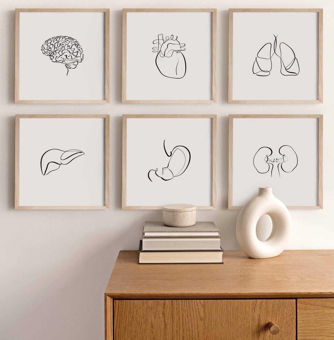 12 Abstract Human Organ Drawings, Anatomy Printable Wall Art Set ...