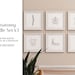 Abstract Pelvis Line Painting, One Line Bone Illustration, Chiropractic ...