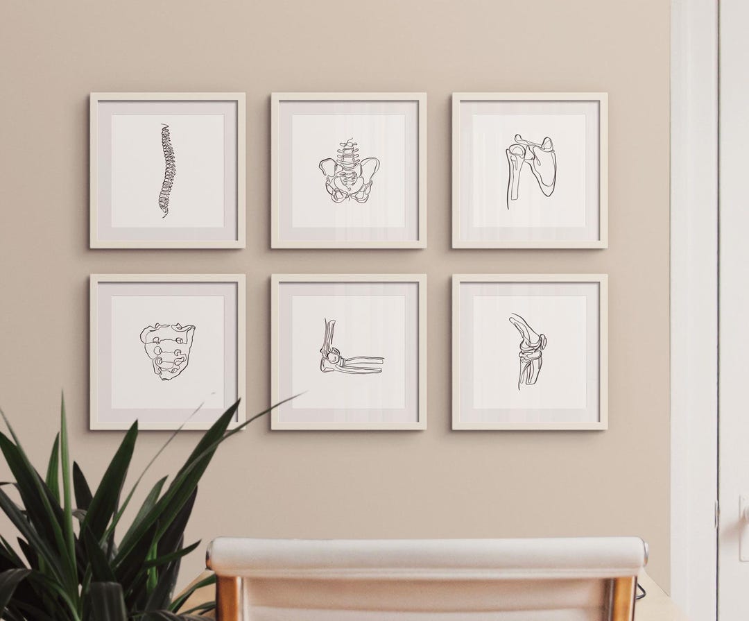 20 Human Skeleton Drawings, Medical Wall Art Set, Printable Abstract ...