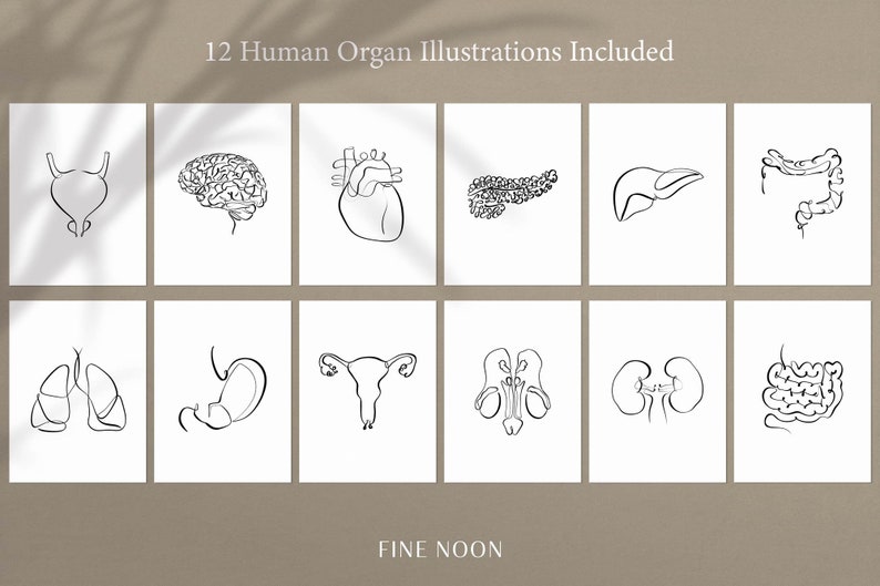 12 Abstract Human Organ Drawings Anatomy Printable Wall Art | Etsy
