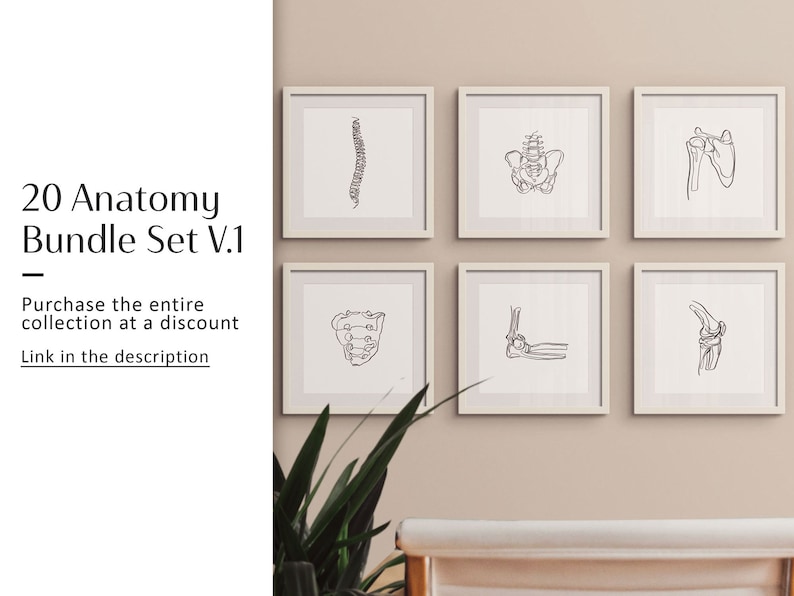 Minimal Spine Line Art Painting, One Line Bone Wall Art, Chiropractor ...