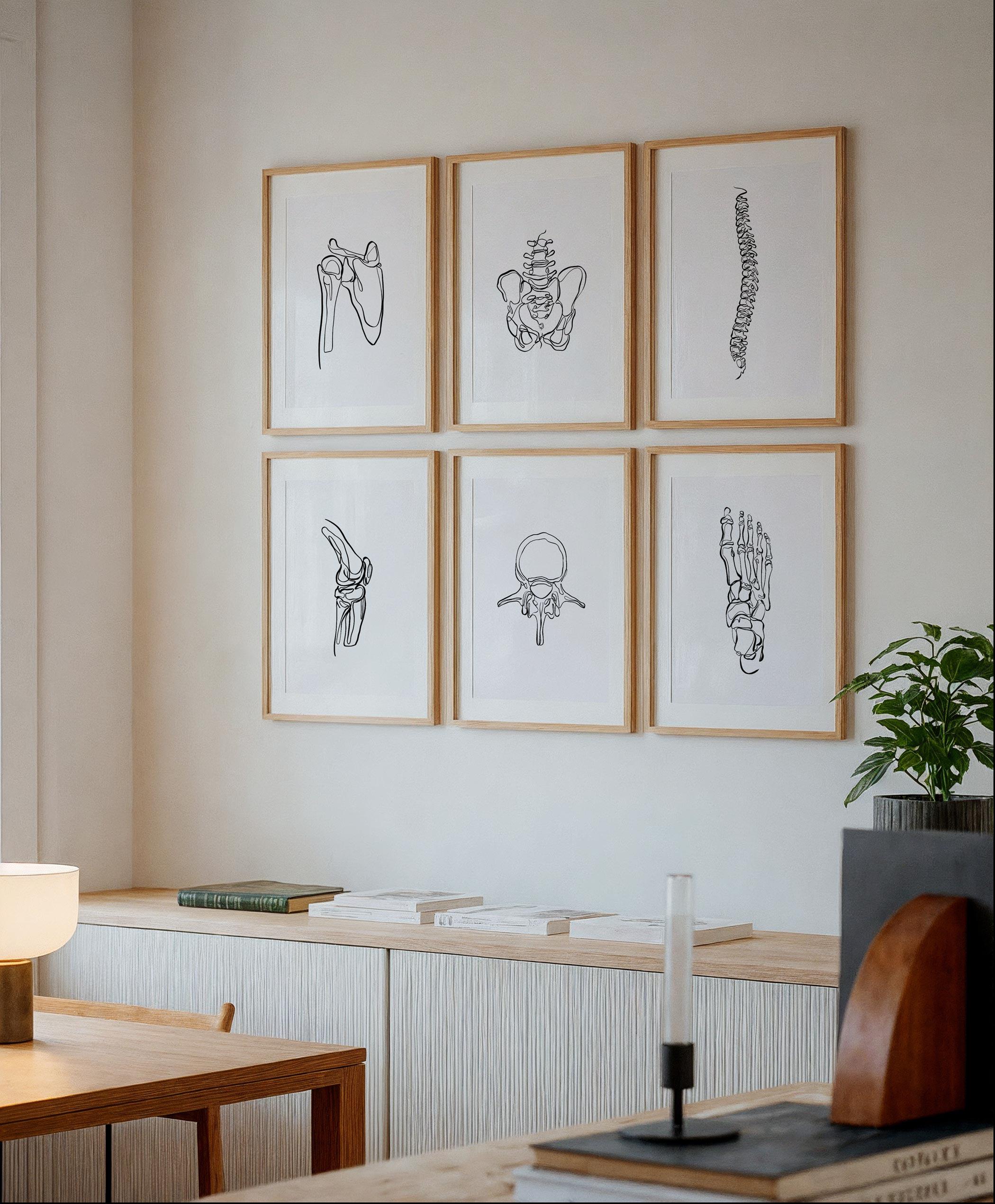 6 Human Bone Drawing Art Prints, Skeleton Wall Art Set, Minimal Medical ...