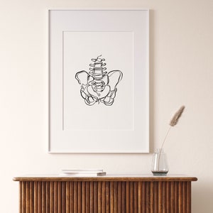 Abstract Pelvis Line Painting, One Line Bone Illustration, Chiropractic ...