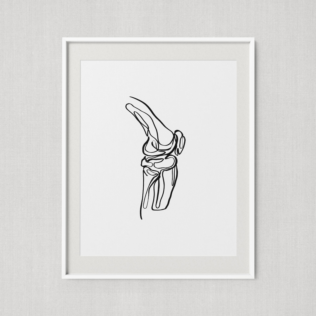 Abstract Knee Illustration, Ligament Joint Bone Art, Medical Line Art ...