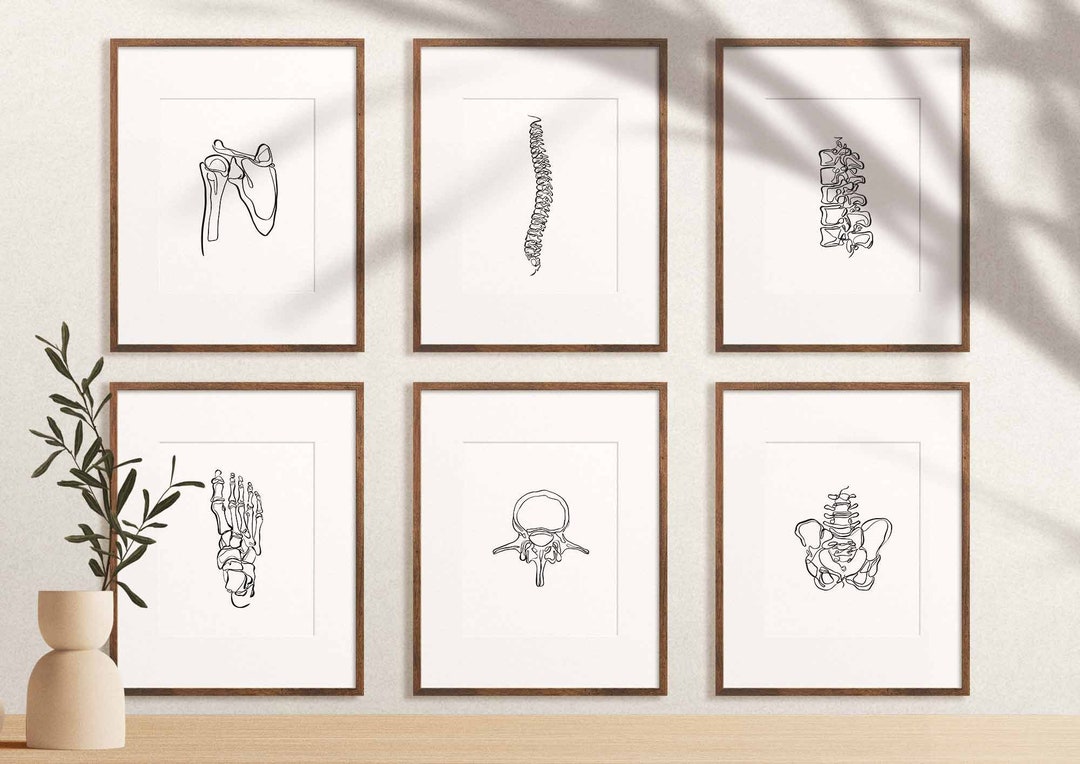 6 Human Bone Drawing Art Prints, Skeleton Wall Art Set, Minimal Medical ...