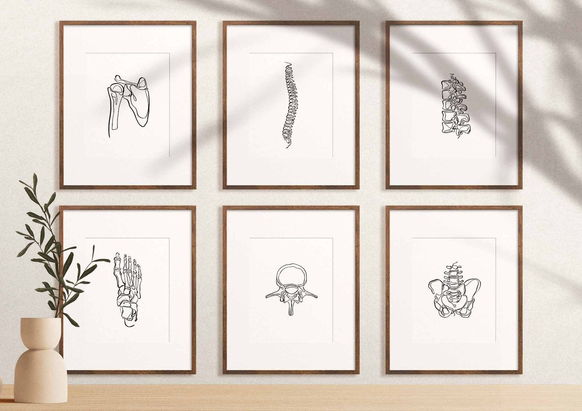 6 Human Bone Drawing Art Prints Skeleton Wall Art Set | Etsy