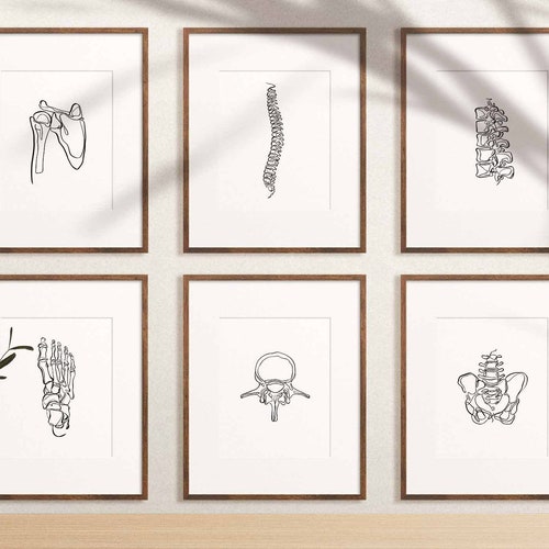 6 Human Bone Drawing Art Prints Skeleton Wall Art Set - Etsy