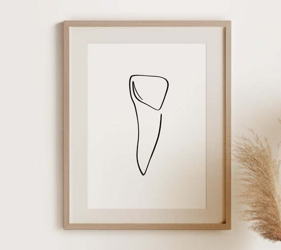 Simple Canine Tooth Drawing Dental Line Art Illustration - Etsy