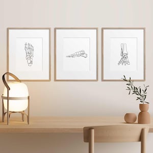 6 Human Bone Drawing Art Prints, Skeleton Wall Art Set, Minimal Medical ...