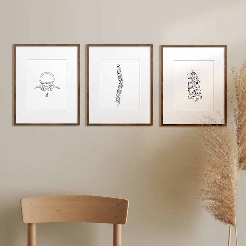 6 Human Bone Drawing Art Prints, Skeleton Wall Art Set, Minimal Medical ...