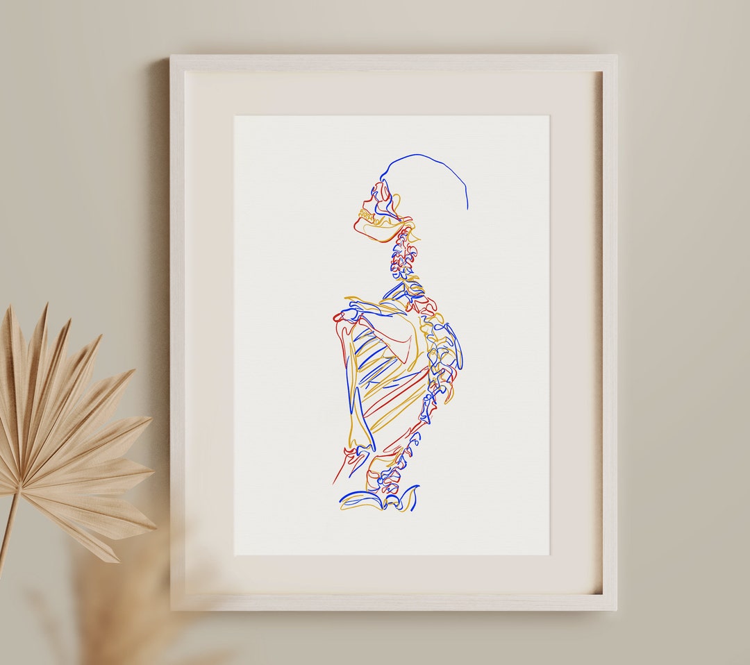 Human Skeleton Line Art, Abstract Anatomy Painting, Medical Printable ...