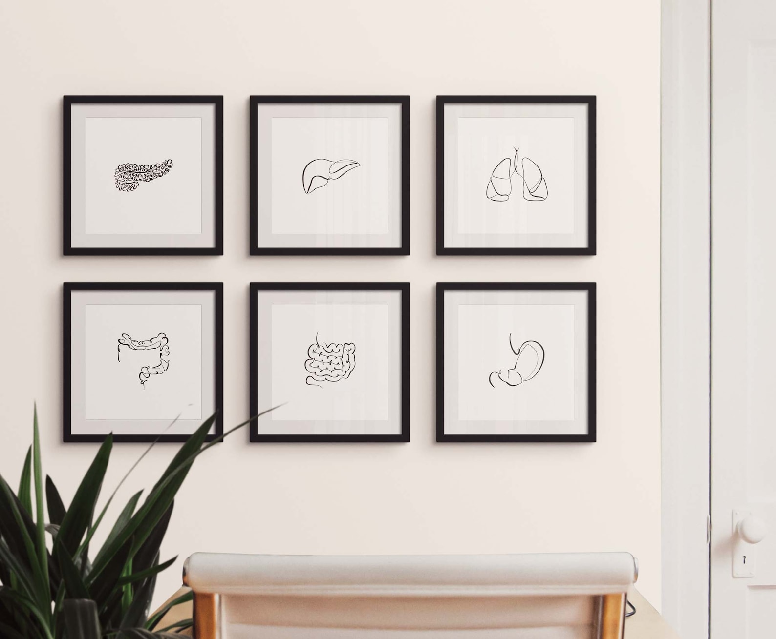 12 Abstract Human Organ Drawings Anatomy Printable Wall Art | Etsy