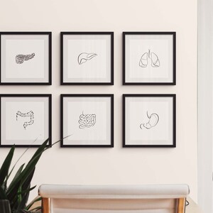 12 Abstract Human Organ Drawings, Anatomy Printable Wall Art Set ...