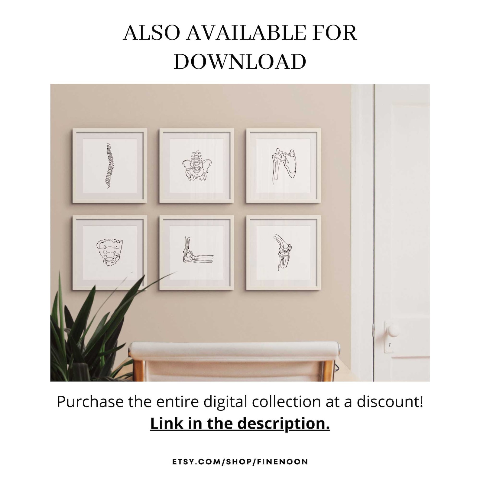 6 Human Bone Drawing Art Prints, Skeleton Wall Art Set, Minimal Medical ...