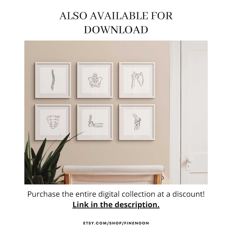6 Human Bone Drawing Art Prints, Skeleton Wall Art Set, Minimal Medical ...