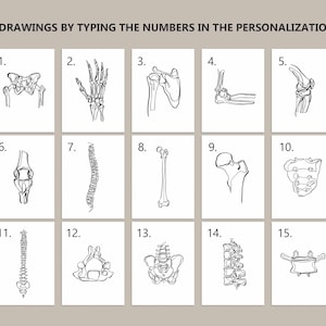 6 Human Bone Drawing Art Prints, Skeleton Wall Art Set, Minimal Medical ...