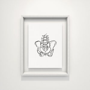 Abstract Pelvis Line Painting, One Line Bone Illustration, Chiropractic ...