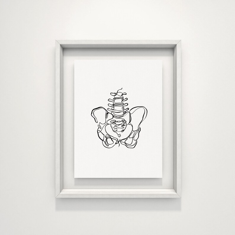 Abstract Pelvis Line Painting, One Line Bone Illustration, Chiropractic ...