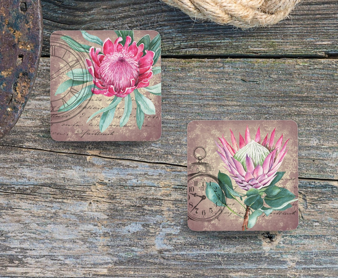 Set of 4 Coasters With Display Stand, Vintage Proteas. South African ...