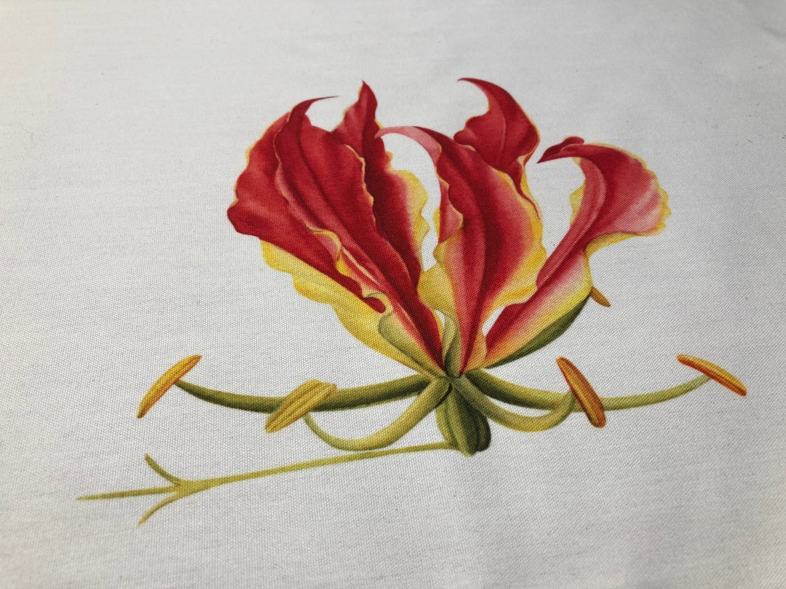Flame Lily Tea Towel. Gloriosa superba Zimbabwe/Rhodesian. | Etsy