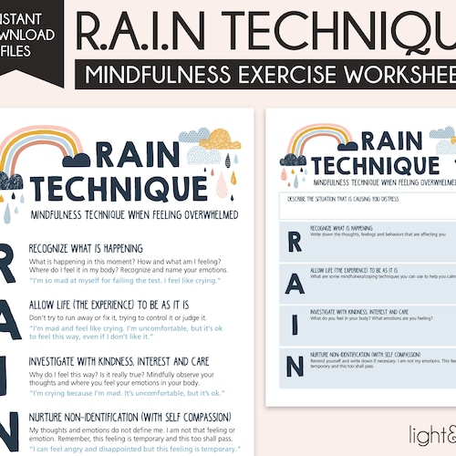 Circle of Control Therapy Worksheets Things I Can Control - Etsy