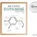 How to Increase Dopamine, Happiness Chemicals Poster, Therapy Office ...