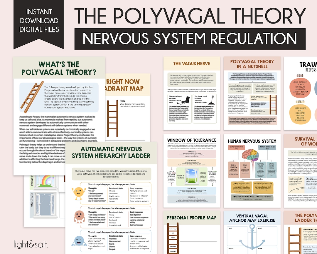 Polyvagal Theory Worksheets, Regulating the Nervous System, Somatic Therapy, Somatic Exercise ...