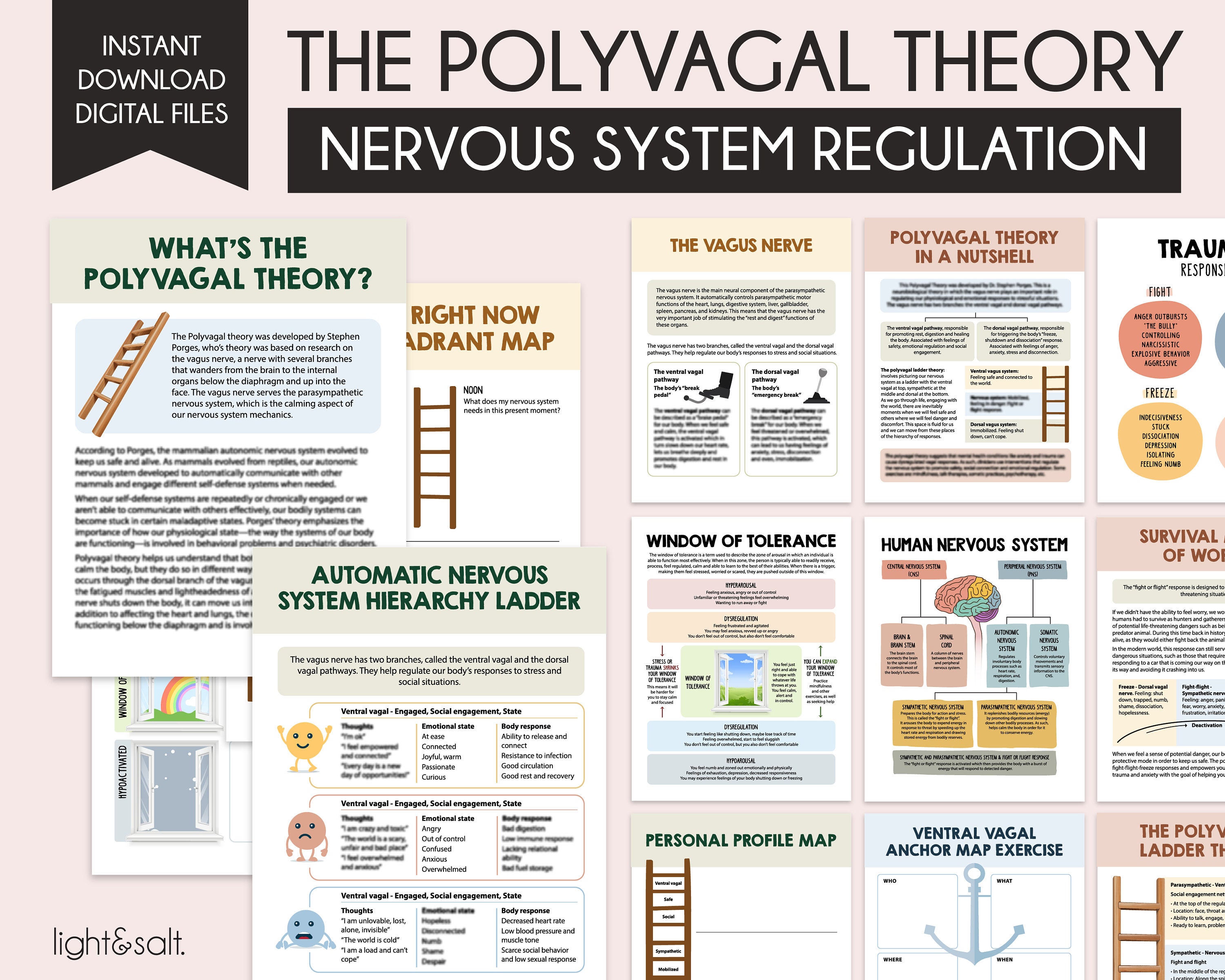Polyvagal Theory Worksheets, Regulating the Nervous System, Somatic ...