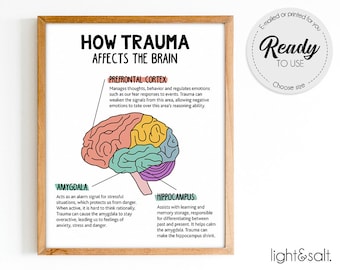 How Trauma Affects the Brain, Human Brain Poster, Brain Anatomy Poster ...