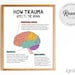 How Trauma Affects the Brain Human Brain Poster Brain - Etsy