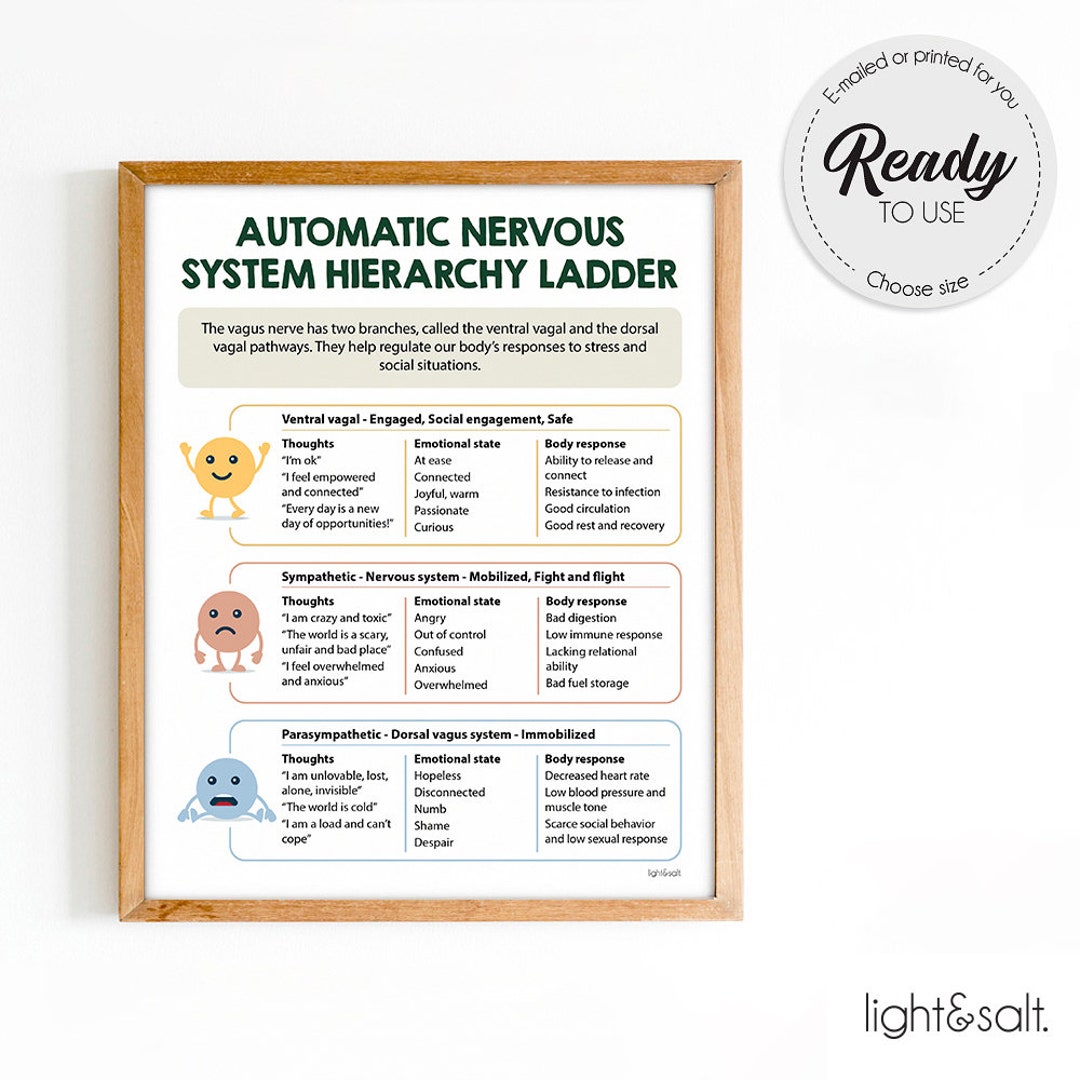 Automatic Nervous System Poster, Polyvagal Theory, Hierarchy, Polyvagal ...