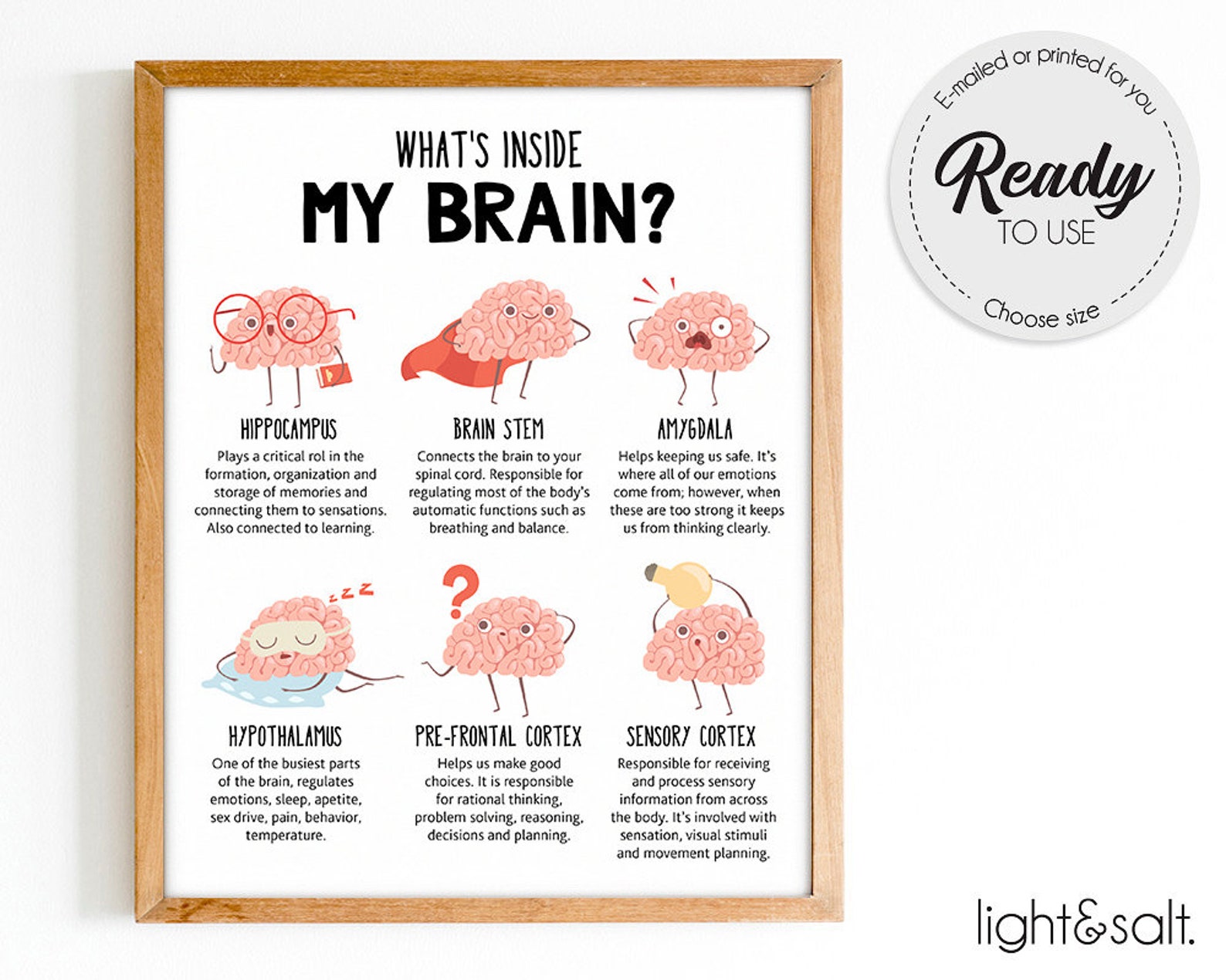 Brain Poster Psychology Poster the Human Brain Anatomy | Etsy