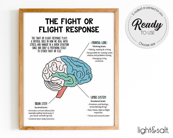 Fight Or Flight Response Examples