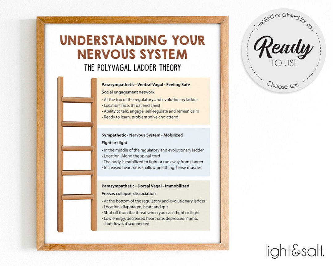 Nervous System Poster, Polyvagal Theory, Polyvagal Ladder, Human Brain ...