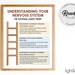 Nervous System Poster Polyvagal Theory Polyvagal Ladder - Etsy Canada