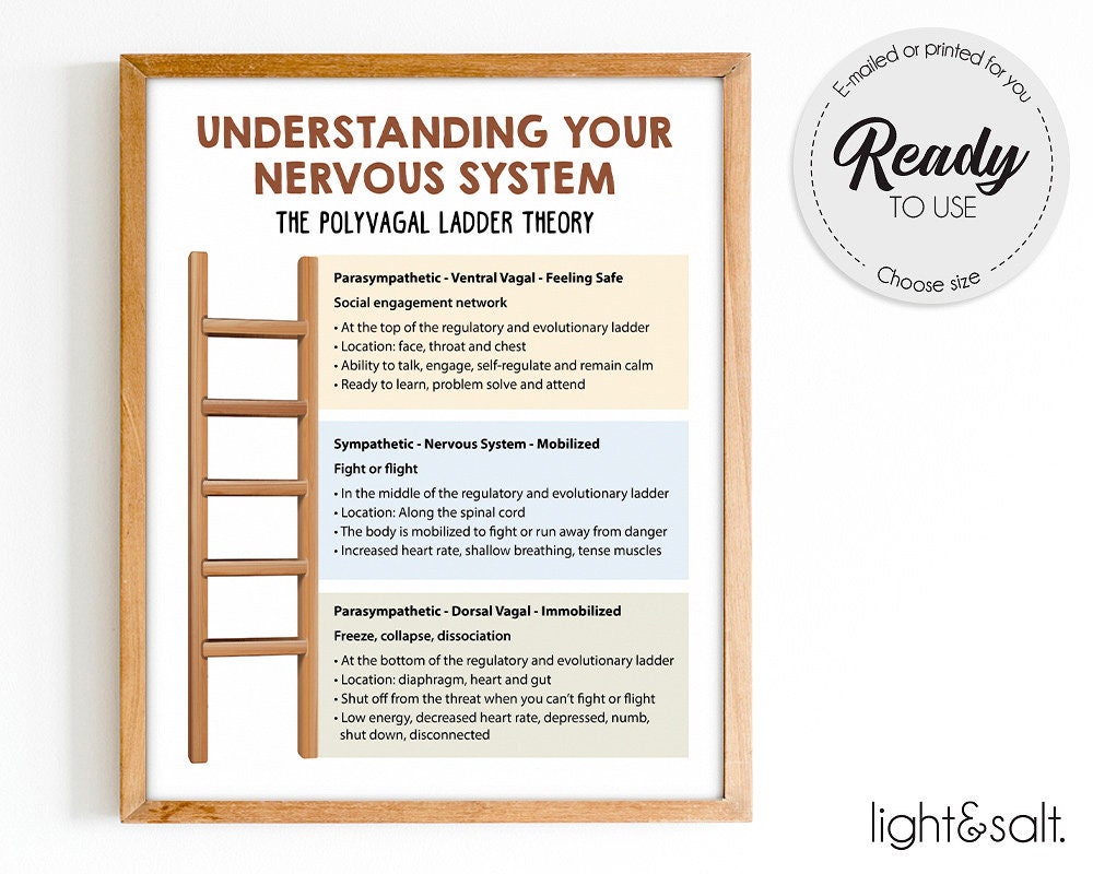 Nervous System Poster, Polyvagal Theory, Polyvagal Ladder, Human Brain ...