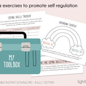 Coping Skills Tool Box, Self Regulation, Feelings Poster, Anxiety Cards ...
